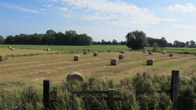 Sehenswürdigkeiten und Ausflüge – Ostsee Urlaub Kalifornien